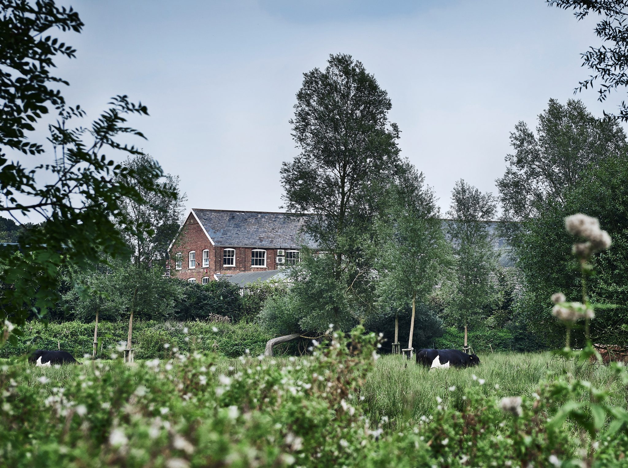 Our Story - Stephen Walters