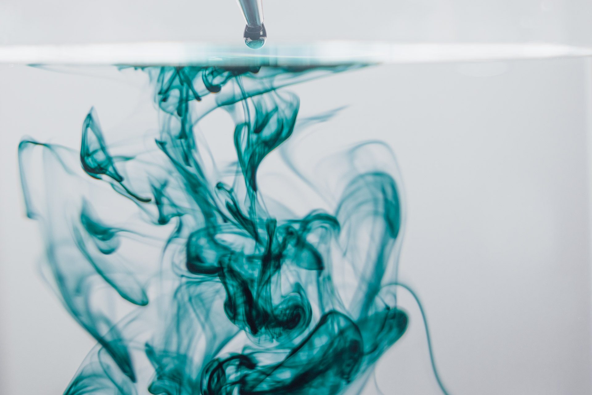 Responsibility - Stephen Walters